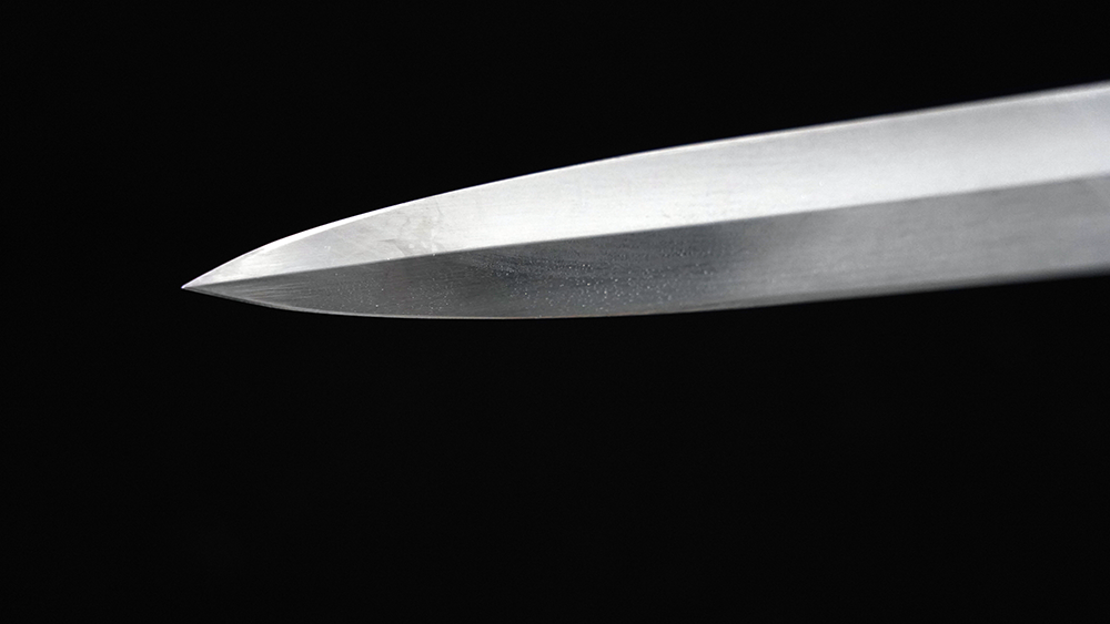 Swordier Type XVIIIb Hollow Ground Blade with Ring Pommel Longsword