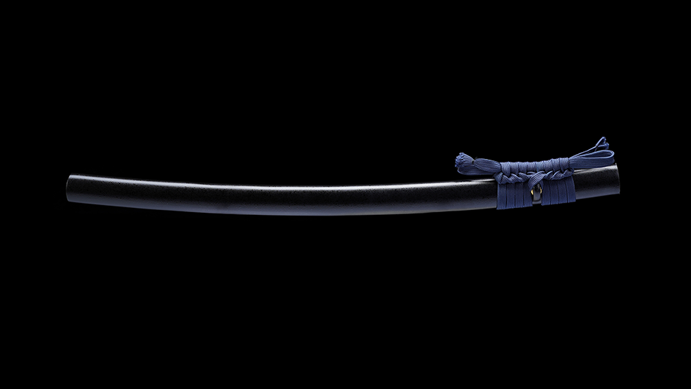 65 MN Spring Steel "Horimono Collection" Sword 1