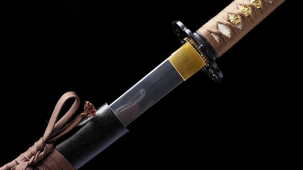 65 MN Spring Steel "Horimono Collection" Sword 2