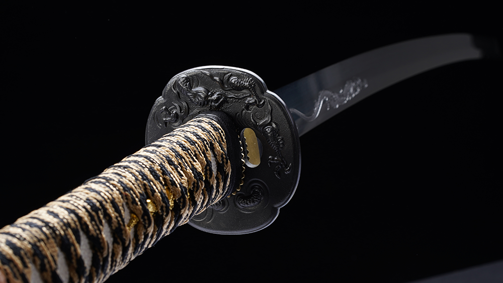 65 MN Spring Steel "Horimono Collection" Sword 3