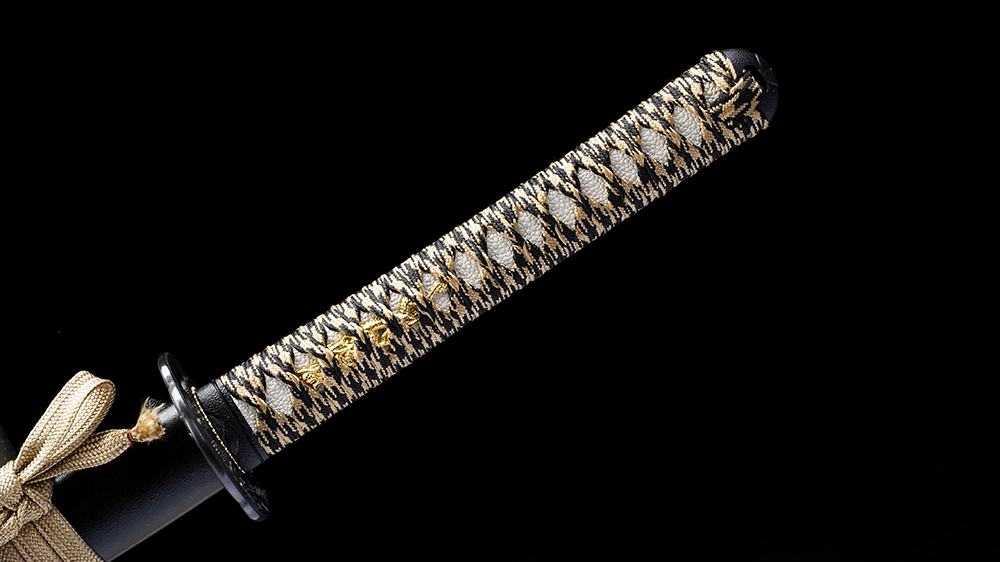 65 MN Spring Steel "Horimono Collection" Sword 3