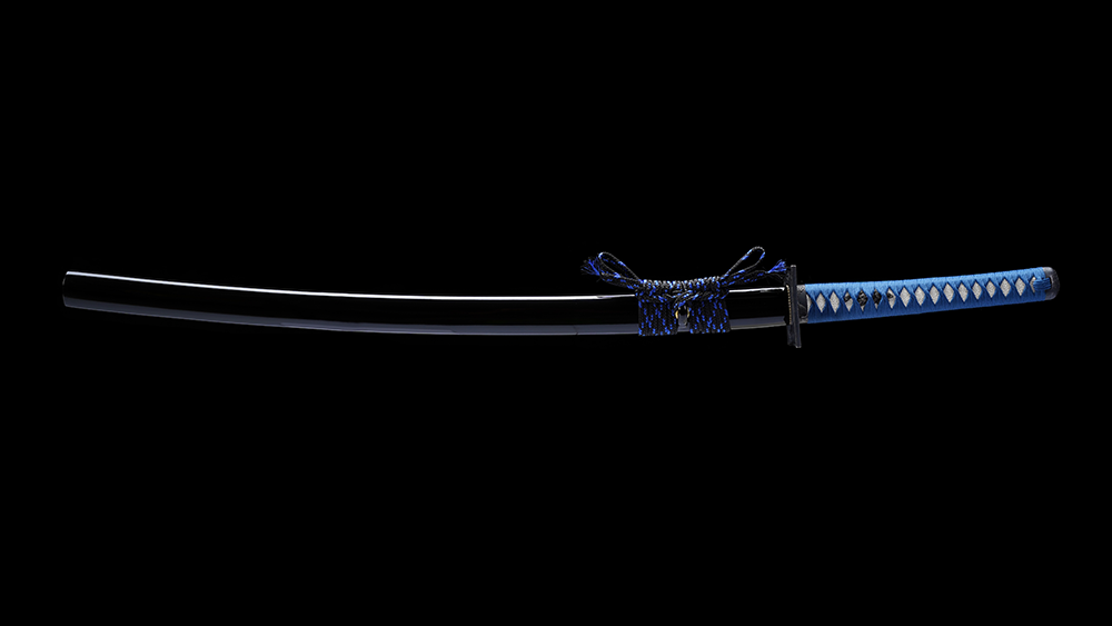 65 MN Spring Steel "Horimono Collection" Sword 4
